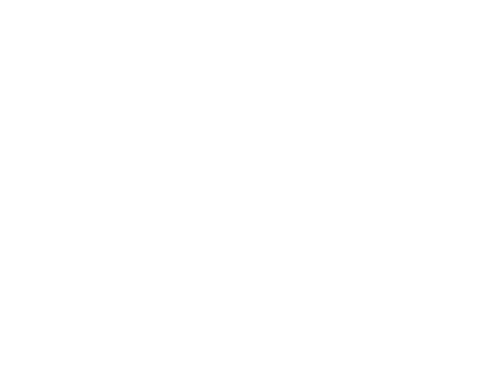 SES Fly Certain | SES