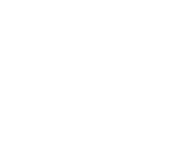 SES Fly Certain | SES